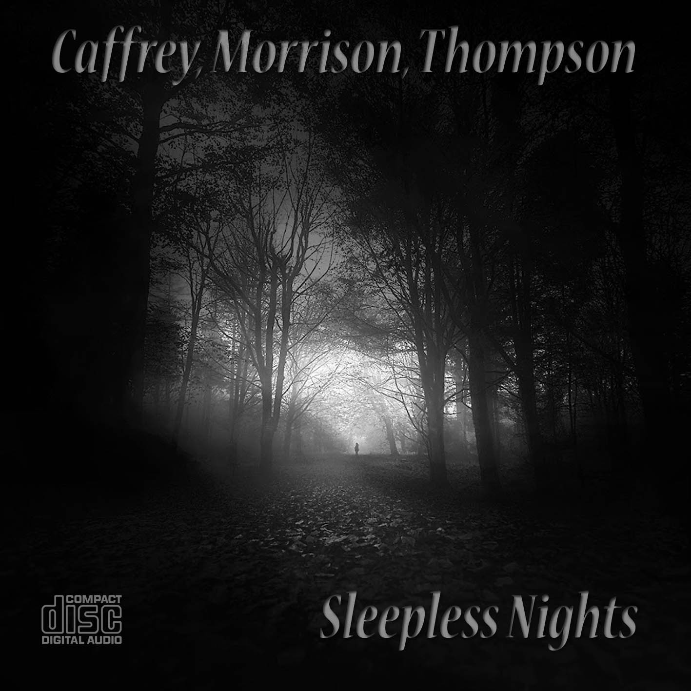 Sleepless Nights - The Steve Thompson Band